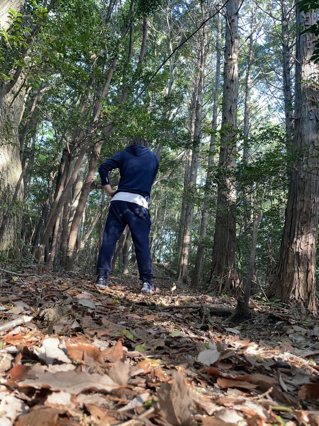 早朝低山巡り其の②愛宕山・雨乞山・御伊勢山 / Kei707さんの禅定寺山・平原岳の活動データ | YAMAP / ヤマップ