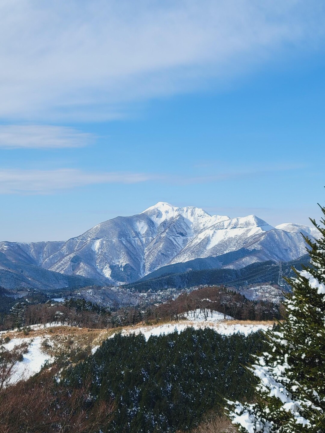 池田山 / yellさんの池田山の活動データ | YAMAP / ヤマップ