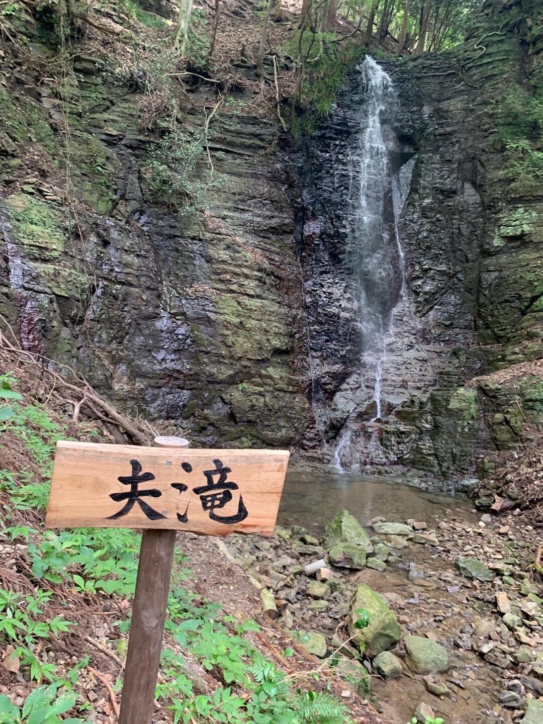 粟ヶ岳 / ma-tinさんの粟ヶ岳の活動データ | YAMAP / ヤマップ