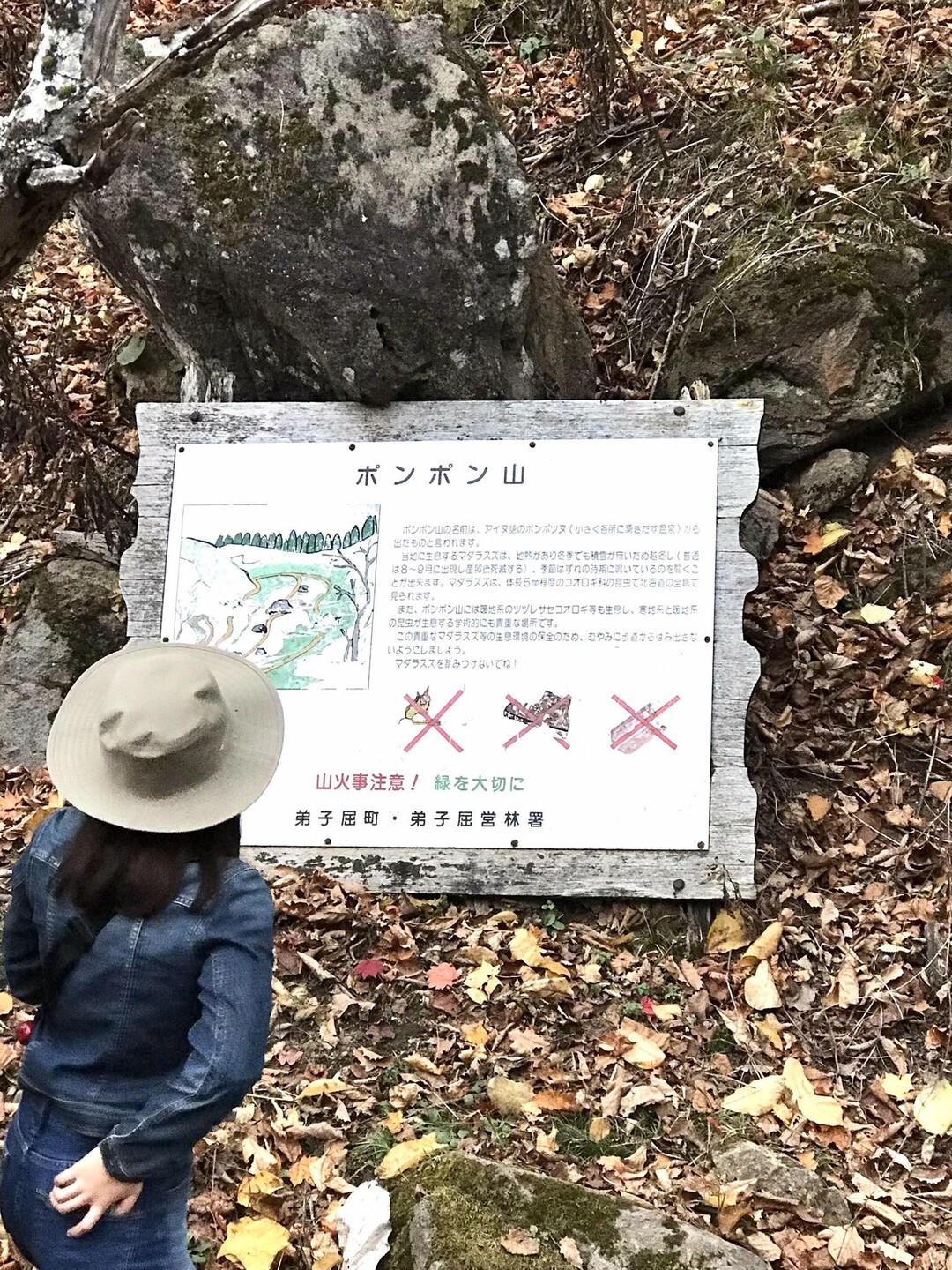 藻琴山(ポンポン山)-2022-10-28 / K.TANAKAさんの藻琴山の活動データ | YAMAP / ヤマップ