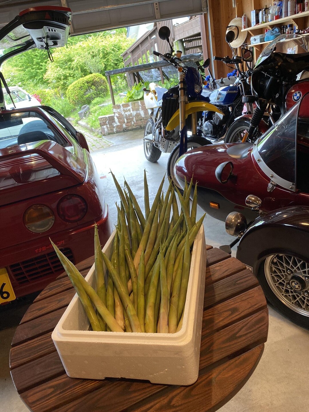 懐かしい声が携帯から、タケノコたくさん採... / chamokichiさんのモーメント | YAMAP / ヤマップ