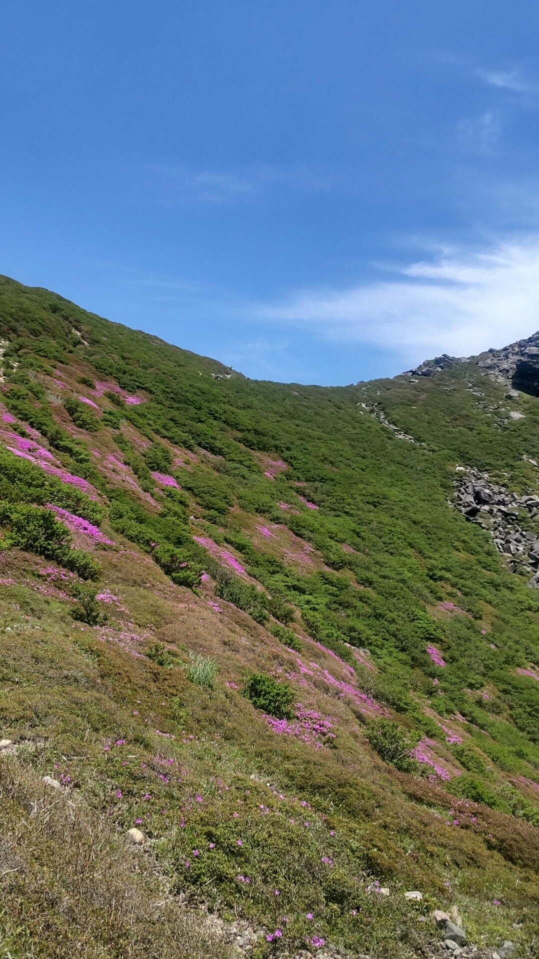 沓掛山・久住山・中岳 / YOKOさんの九重山（久住山）・大船山・星生山の活動データ | YAMAP / ヤマップ