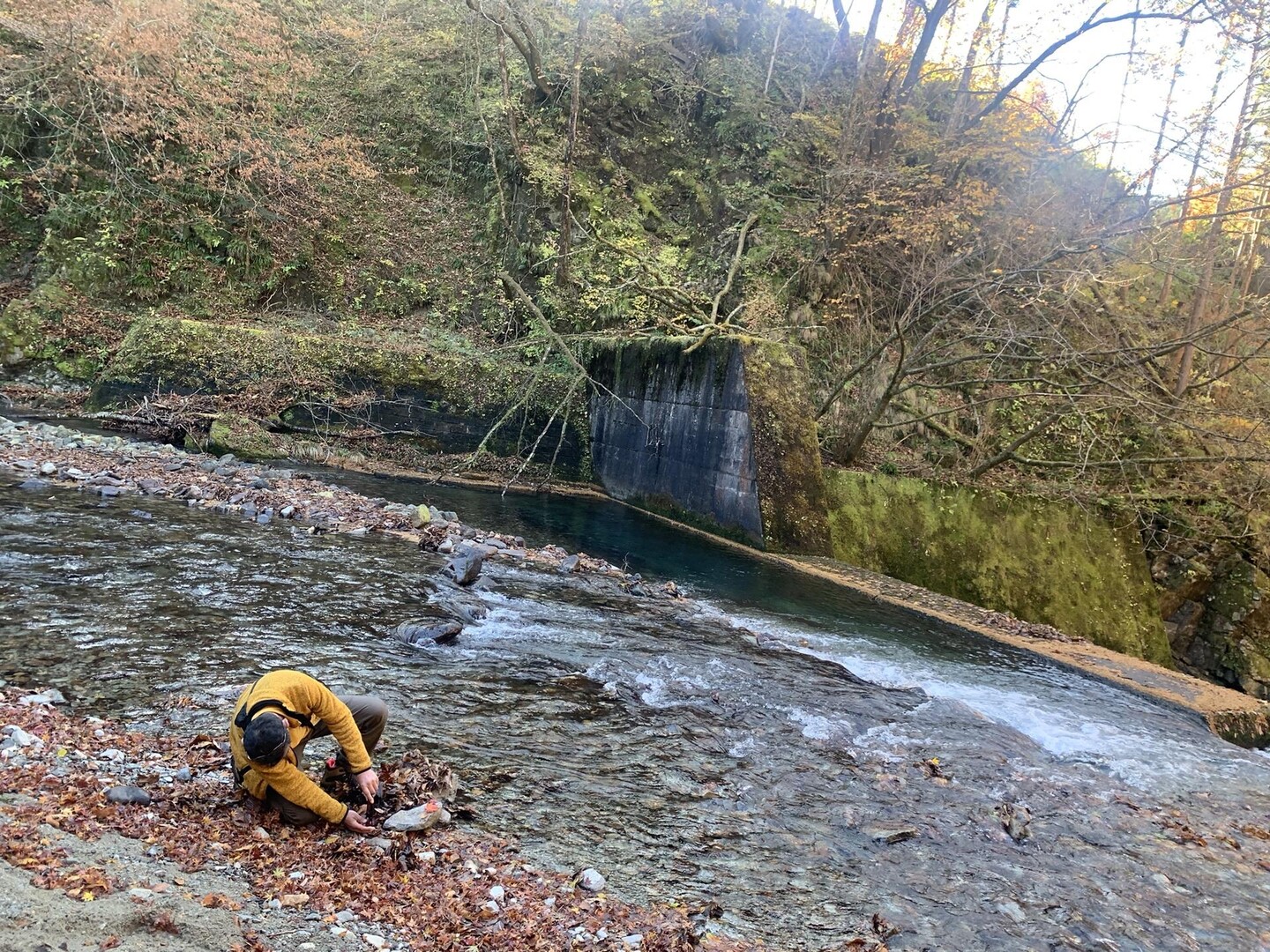 大芦川 川に紅葉が写ってる🍁 こういう... / チロル-METALさんのモーメント | YAMAP / ヤマップ
