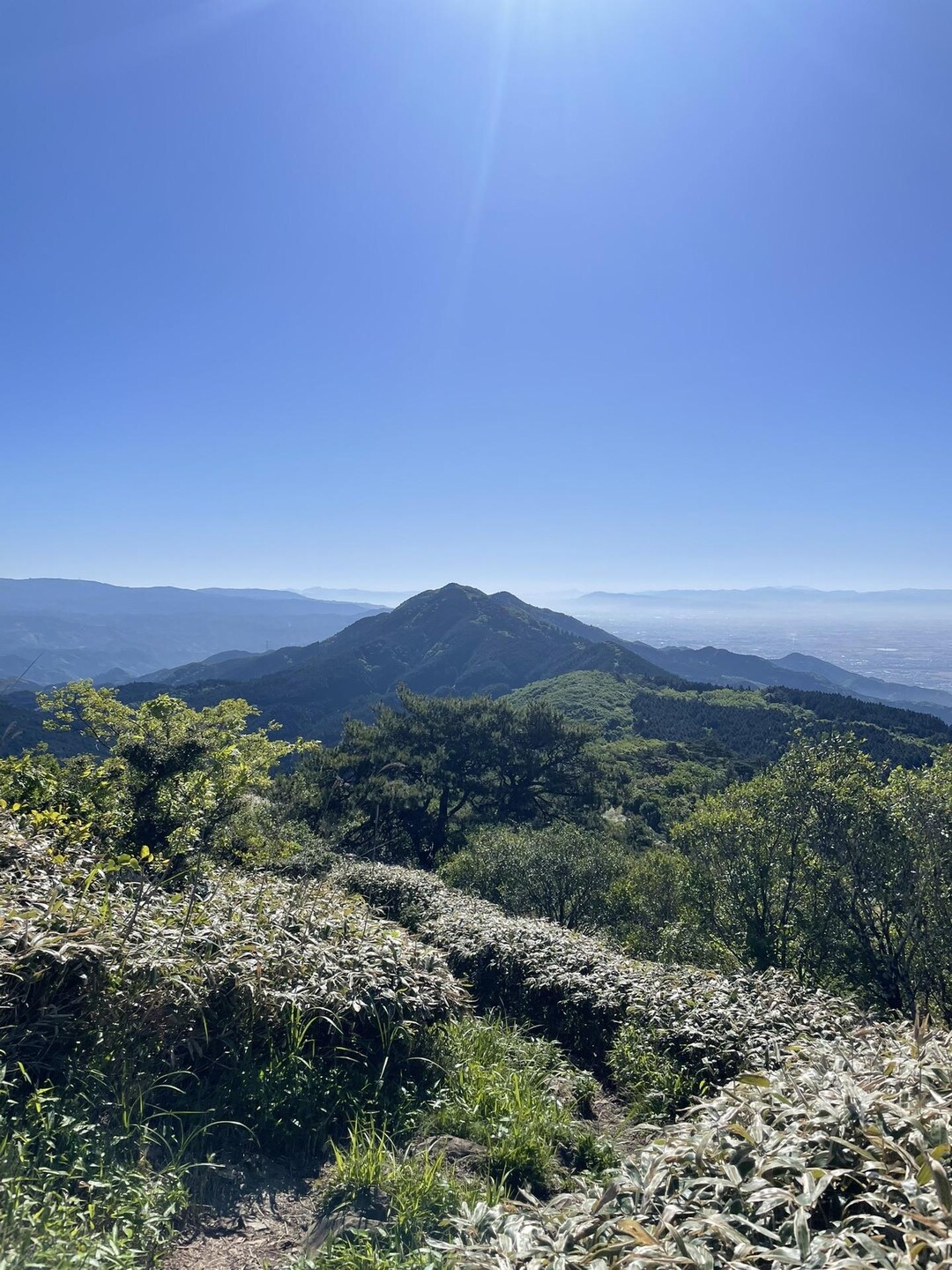 天山⁇ / Niko niko さんの天山の活動データ | YAMAP / ヤマップ