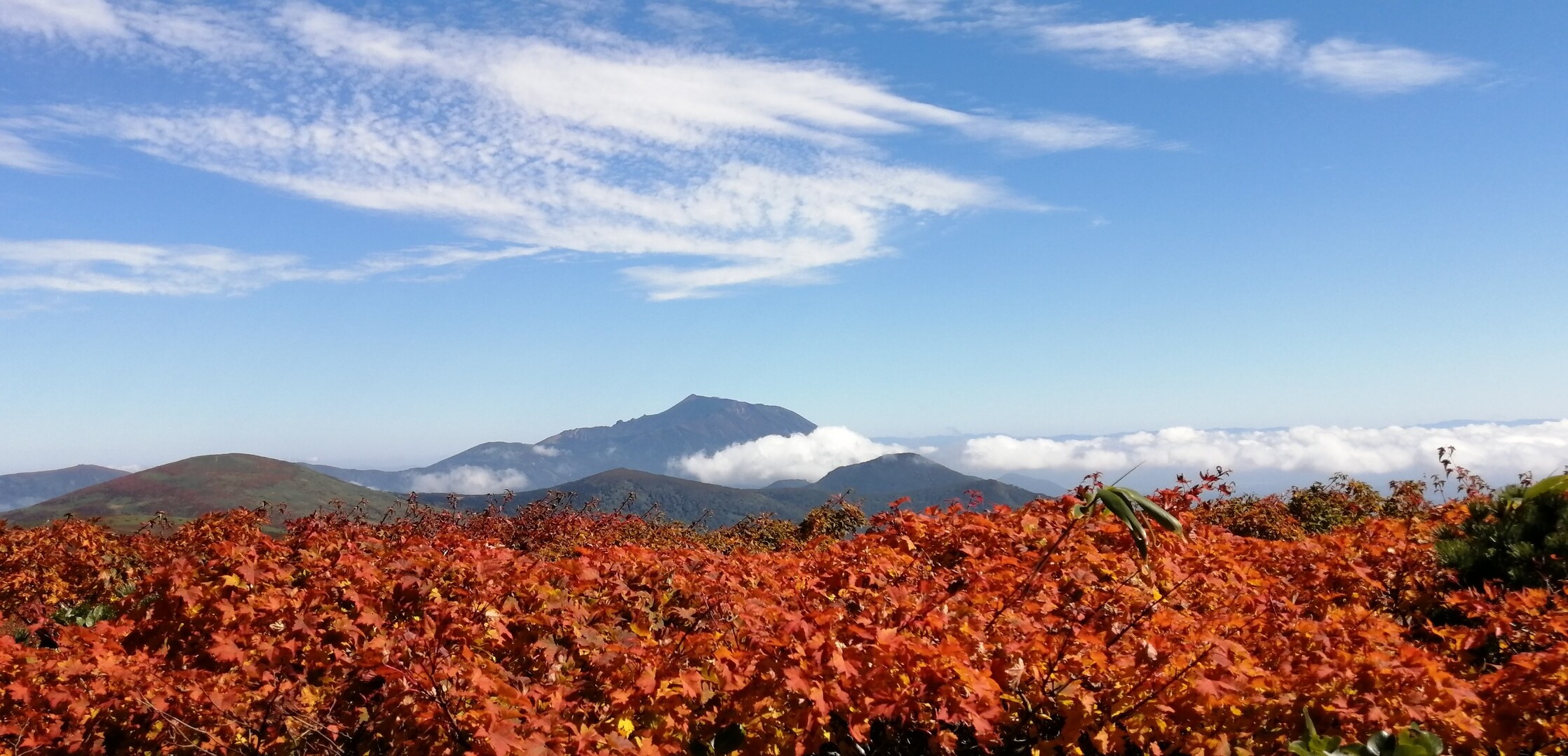 秋田駒ヶ岳の紅葉🍁最高 / ima3さんの秋田駒ヶ岳・男女岳・貝吹岳の活動データ | YAMAP / ヤマップ