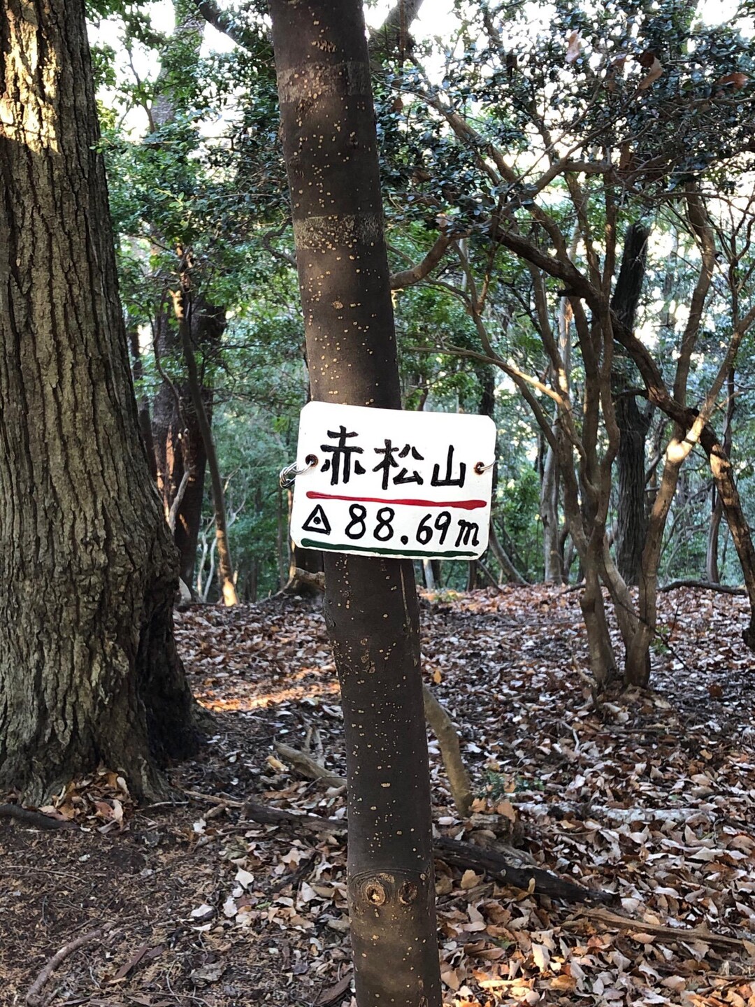 赤松山 88.7m 低山巡り 伊勢市 / isisさんの伊勢市の活動データ | YAMAP / ヤマップ