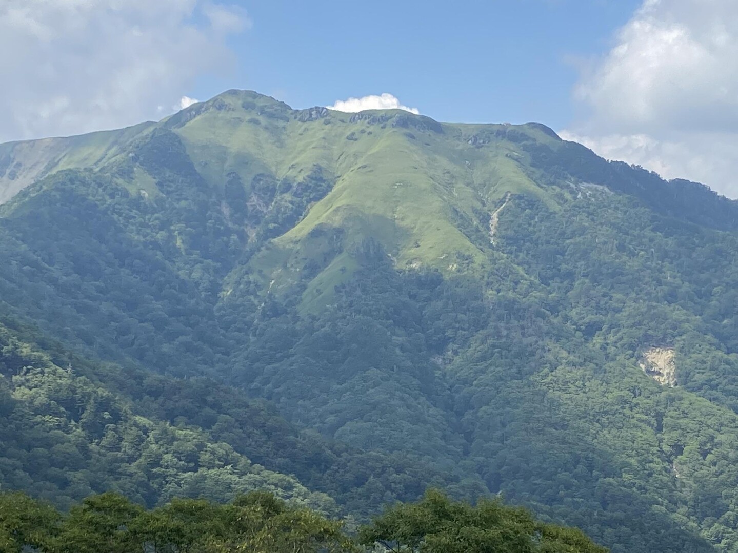 三嶺・カヤハゲ(東熊山)・平和丸・高ノ瀬 / josephさんの三嶺・天狗塚・石立山の活動データ | YAMAP / ヤマップ