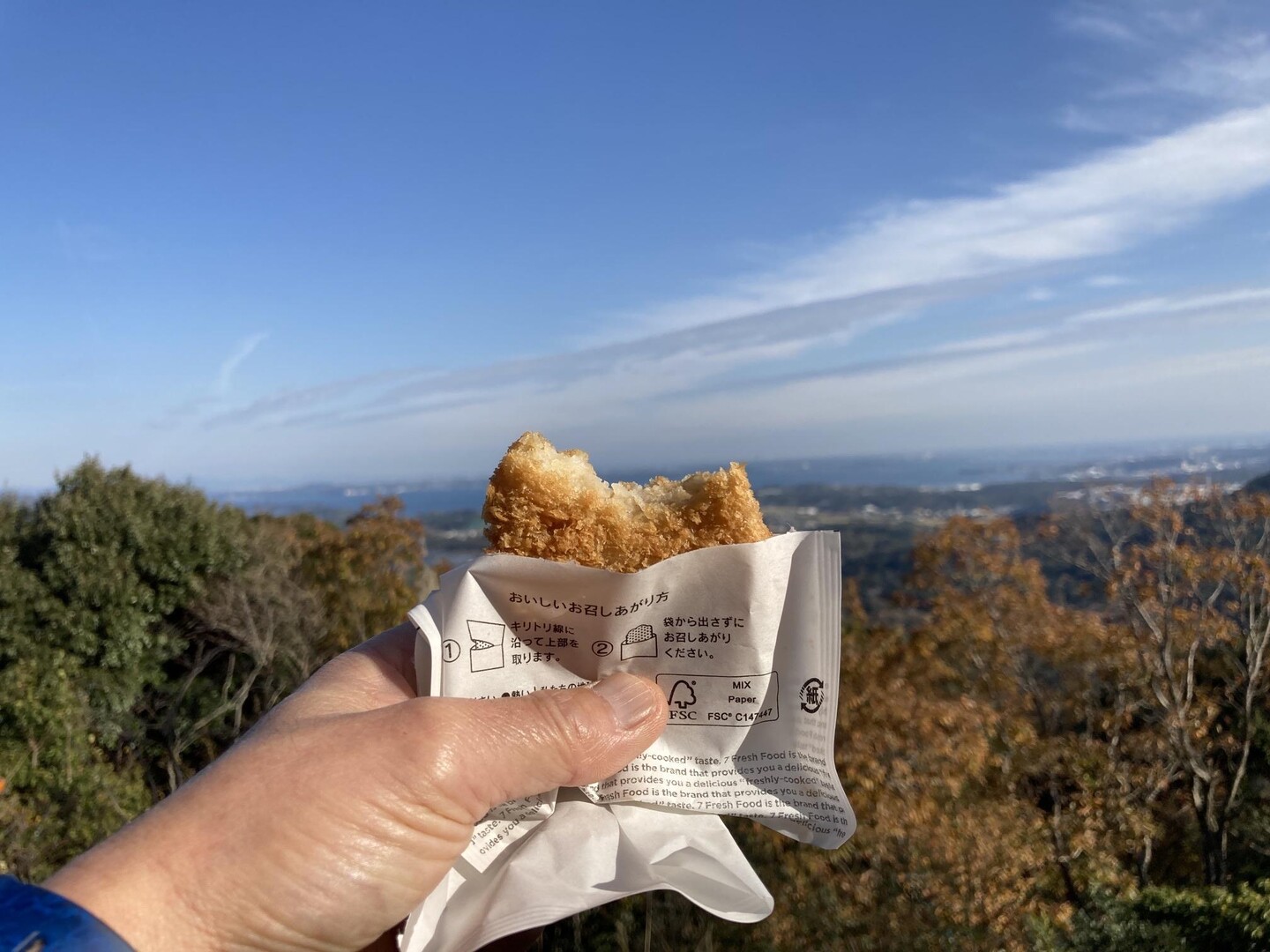 ラクダ岩までの、リハビリ・コロッケ散歩 / yuziさんの坊ヶ峰・石巻山・神石山・葦毛湿原の活動データ | YAMAP / ヤマップ