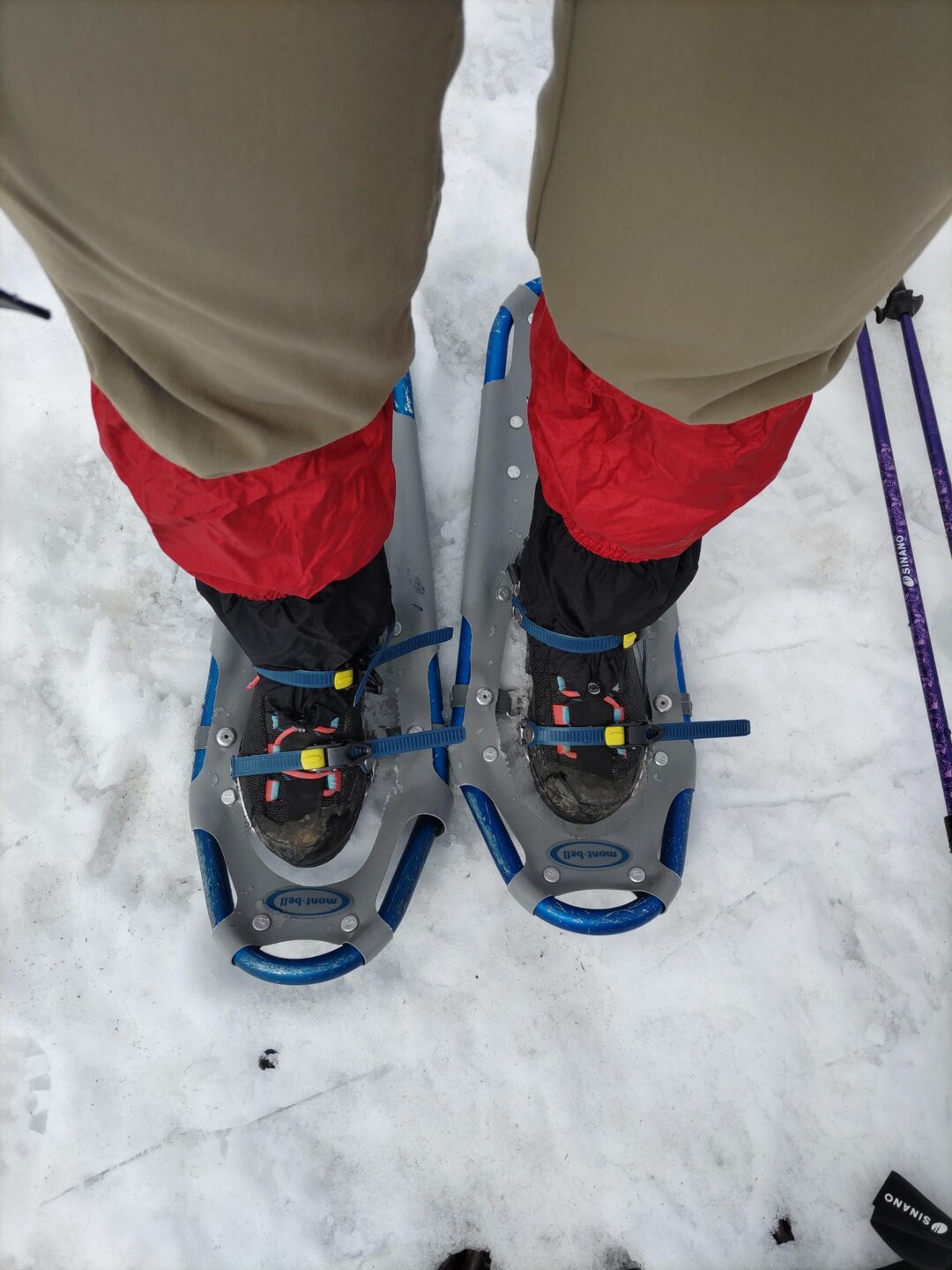 初めてのスノーシュー 長七郎山 / ffさんのヤマノススメ巡礼マップ（赤城山・地蔵岳）の活動データ | YAMAP / ヤマップ