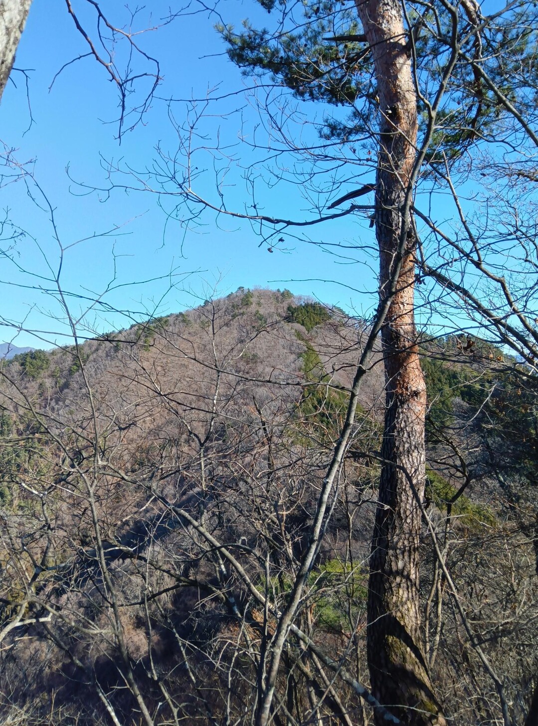 屏風岩・大岩ノ頭・カンバ沢ノ頭・羽根子山・高川山・尾曽後山・峯山・オキ山・むすび山 / nori 04さんの高川山の活動データ | YAMAP / ヤマップ