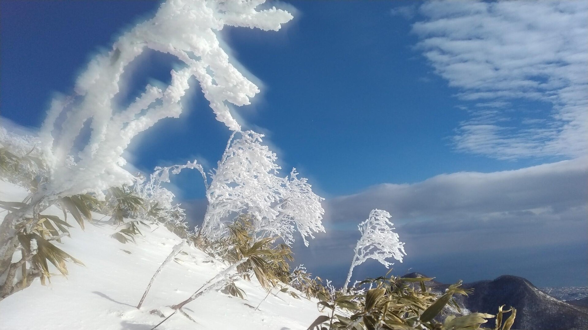 風吹の後室蘭岳12月28日 / tosiさんのモーメント | YAMAP / ヤマップ