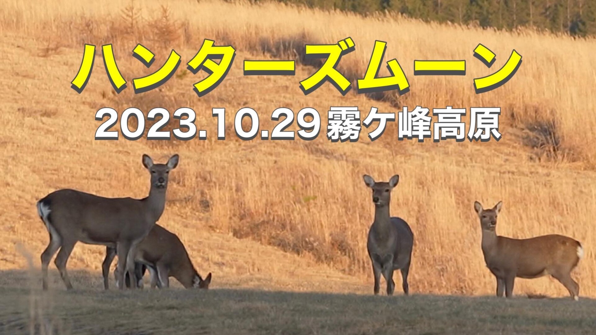 先日の満月をアップしました。 ハンタース... / リタイアSUPさんのモーメント | YAMAP / ヤマップ