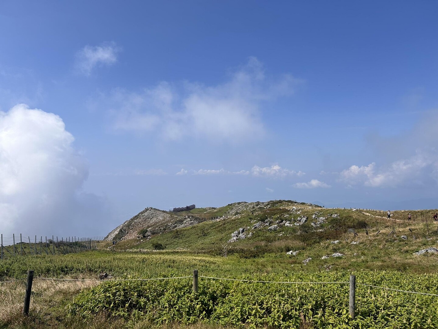 伊吹山 / Tatsuyaさんの伊吹山・伊吹高原・御座峰の活動日記 | YAMAP / ヤマップ