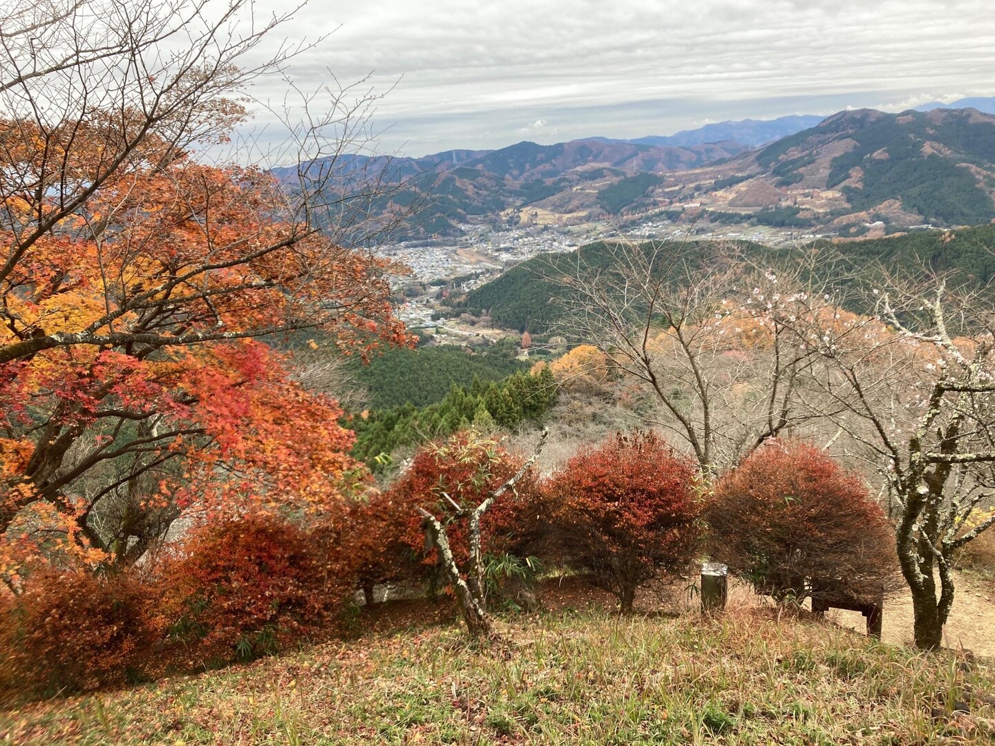 桜山往復 / komaさんの御荷鉾山・オドケ山・桐ノ城山の活動データ | YAMAP / ヤマップ