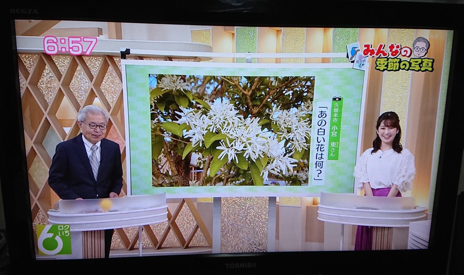 今、NHKのロクイチの気象情報のなかでナ... / コックンさんのモーメント | YAMAP / ヤマップ