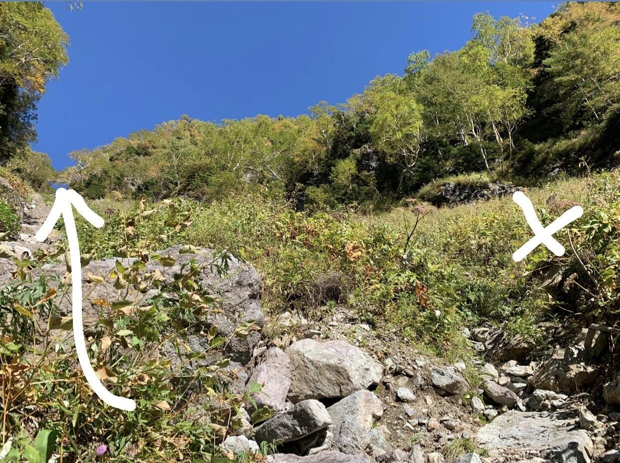 J🌸さんの投稿したフィールドメモ | YAMAP / ヤマップ