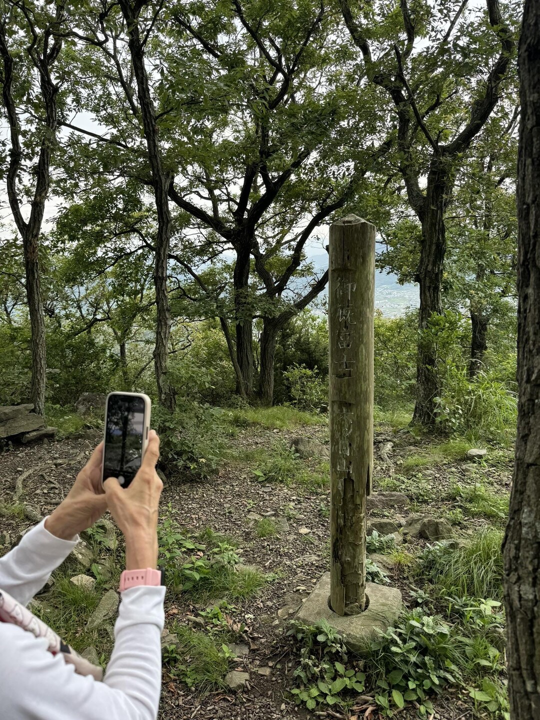 おむすび三山の六ッ目山へ😠 / cozy284さんの六ッ目山・堂山・伽藍山の活動データ | YAMAP / ヤマップ