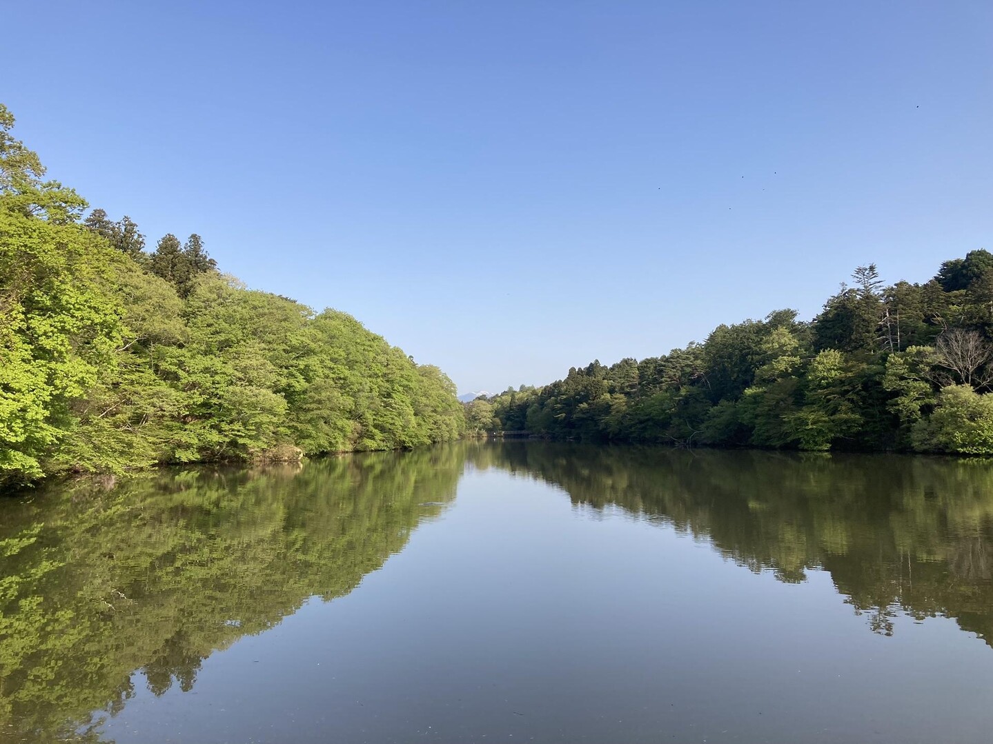おはようございます^ ^ 今朝は雲ひと... / OBsunさんのモーメント | YAMAP / ヤマップ