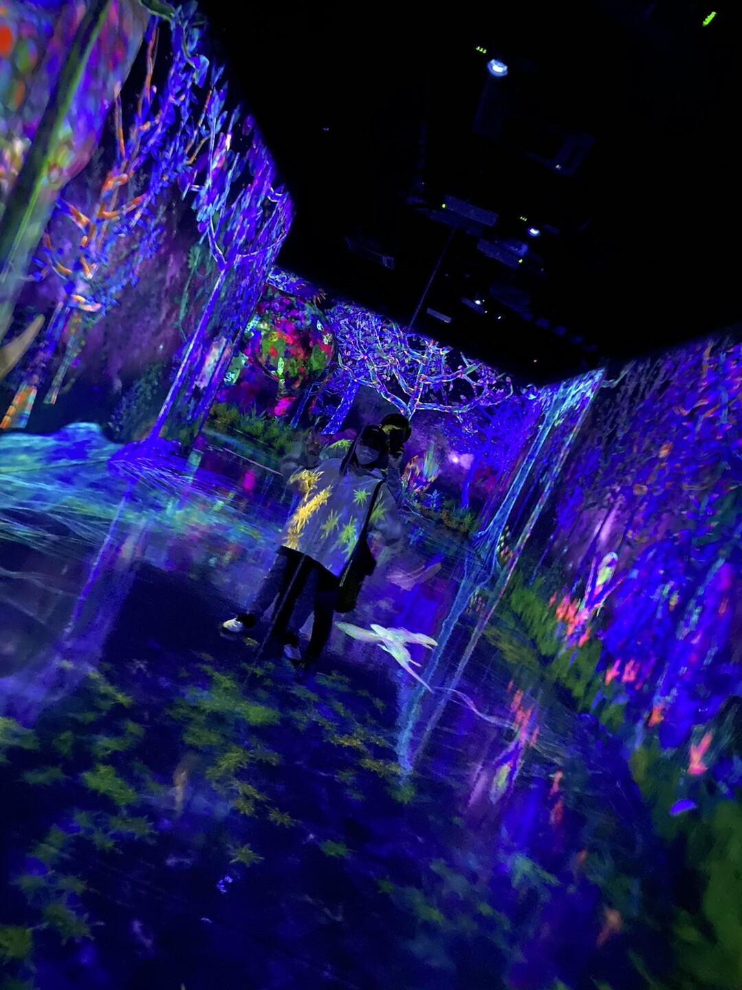 3/13に、行ってみたかったBOSS E... / ゆうさんのモーメント | YAMAP / ヤマップ