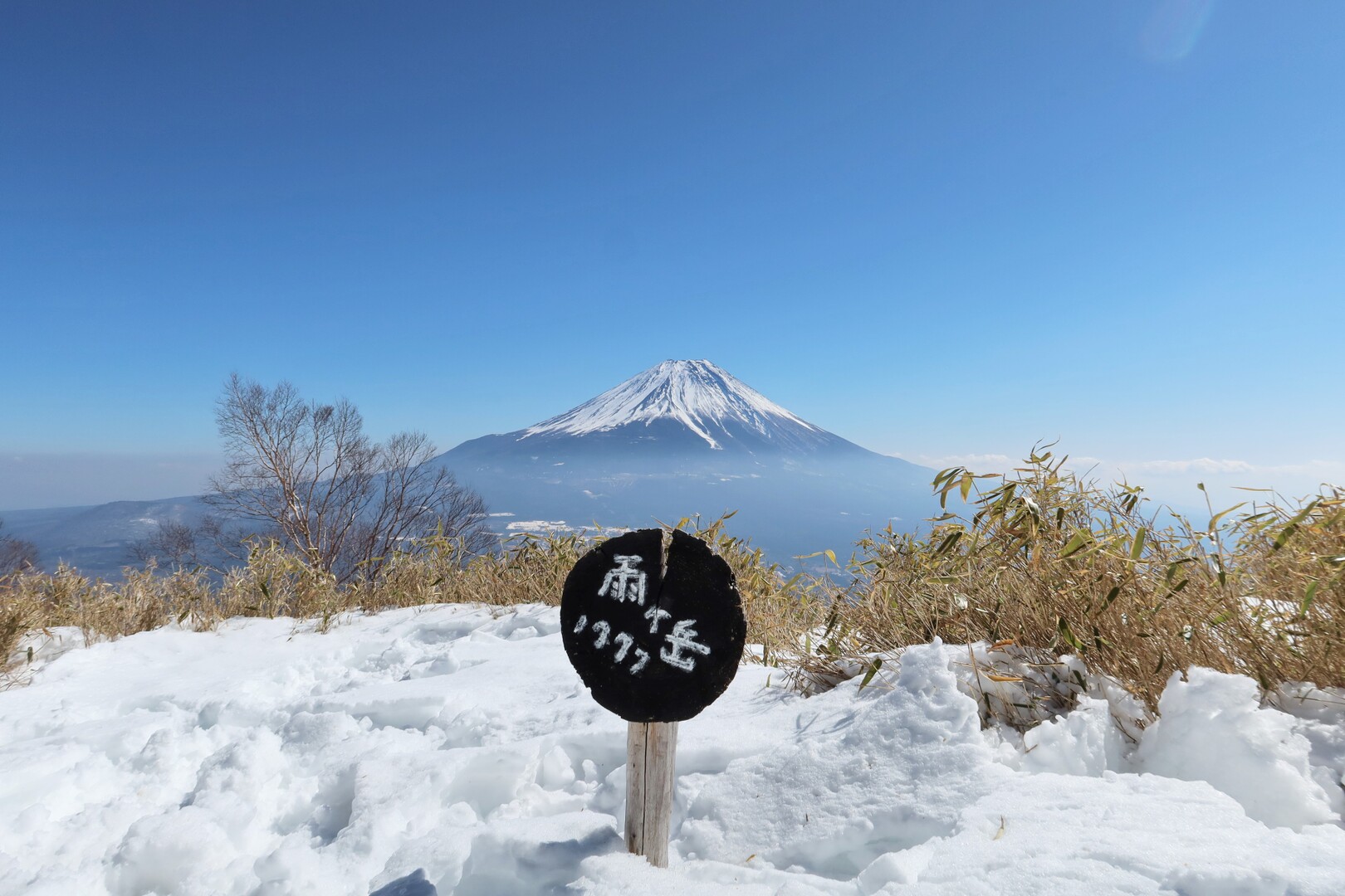 雨ヶ岳 / 柴犬太郎さんの毛無山・雨ヶ岳・竜ヶ岳の活動日記 | YAMAP / ヤマップ