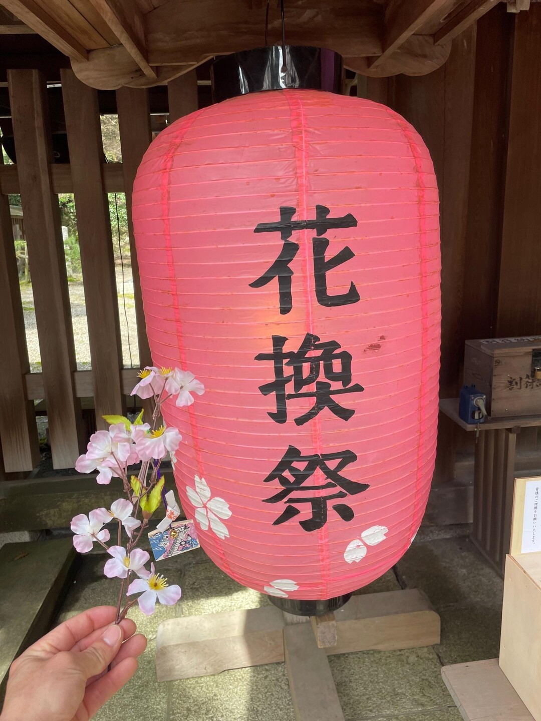 中山・天筒山・深山寺御山 / JOG太郎さんの天筒山・中池見湿地の活動データ | YAMAP / ヤマップ