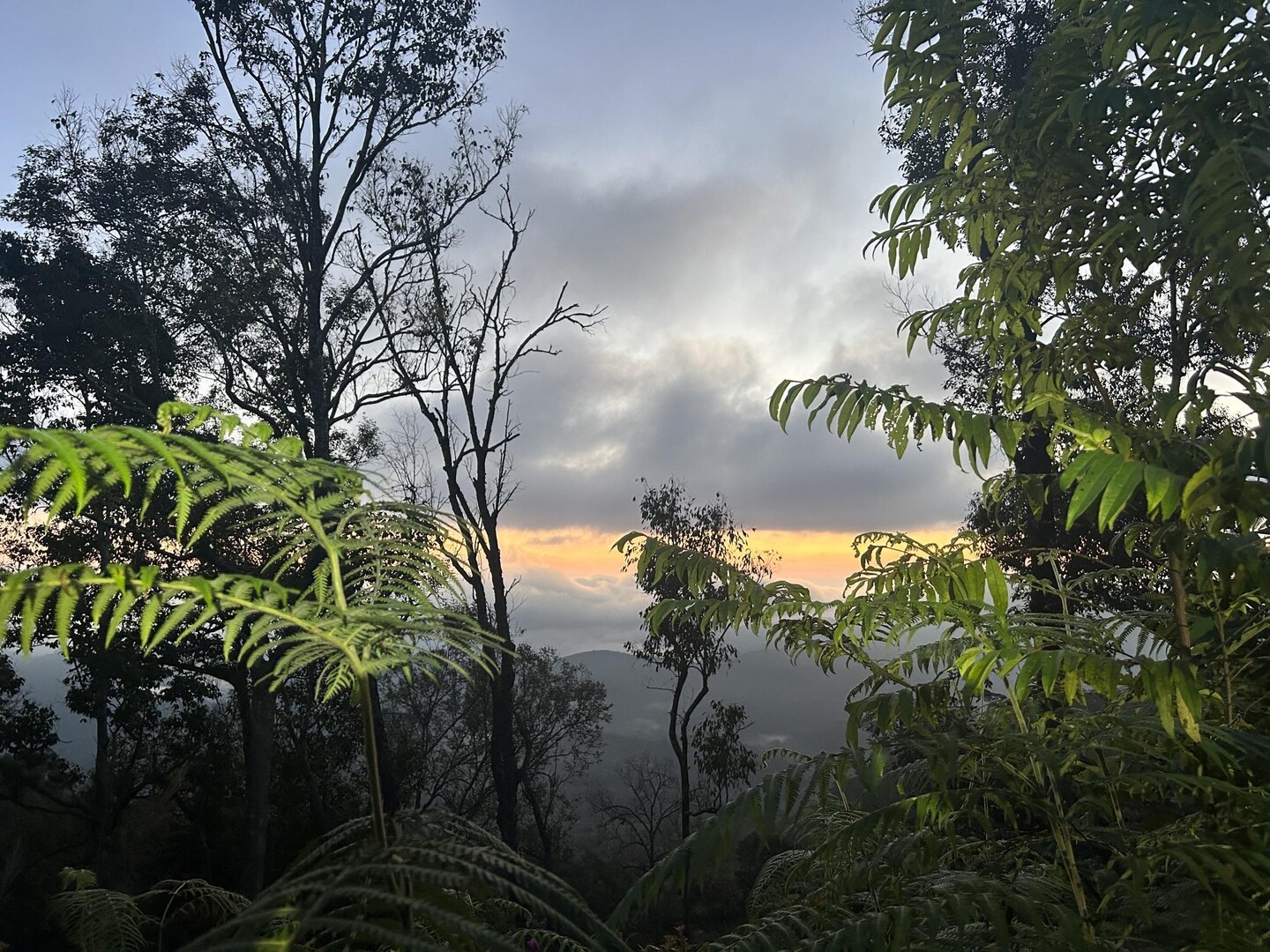 DOI INTHANON by UTMB またもDNF / tomokiさんのトレイルランニングの活動データ | YAMAP / ヤマップ