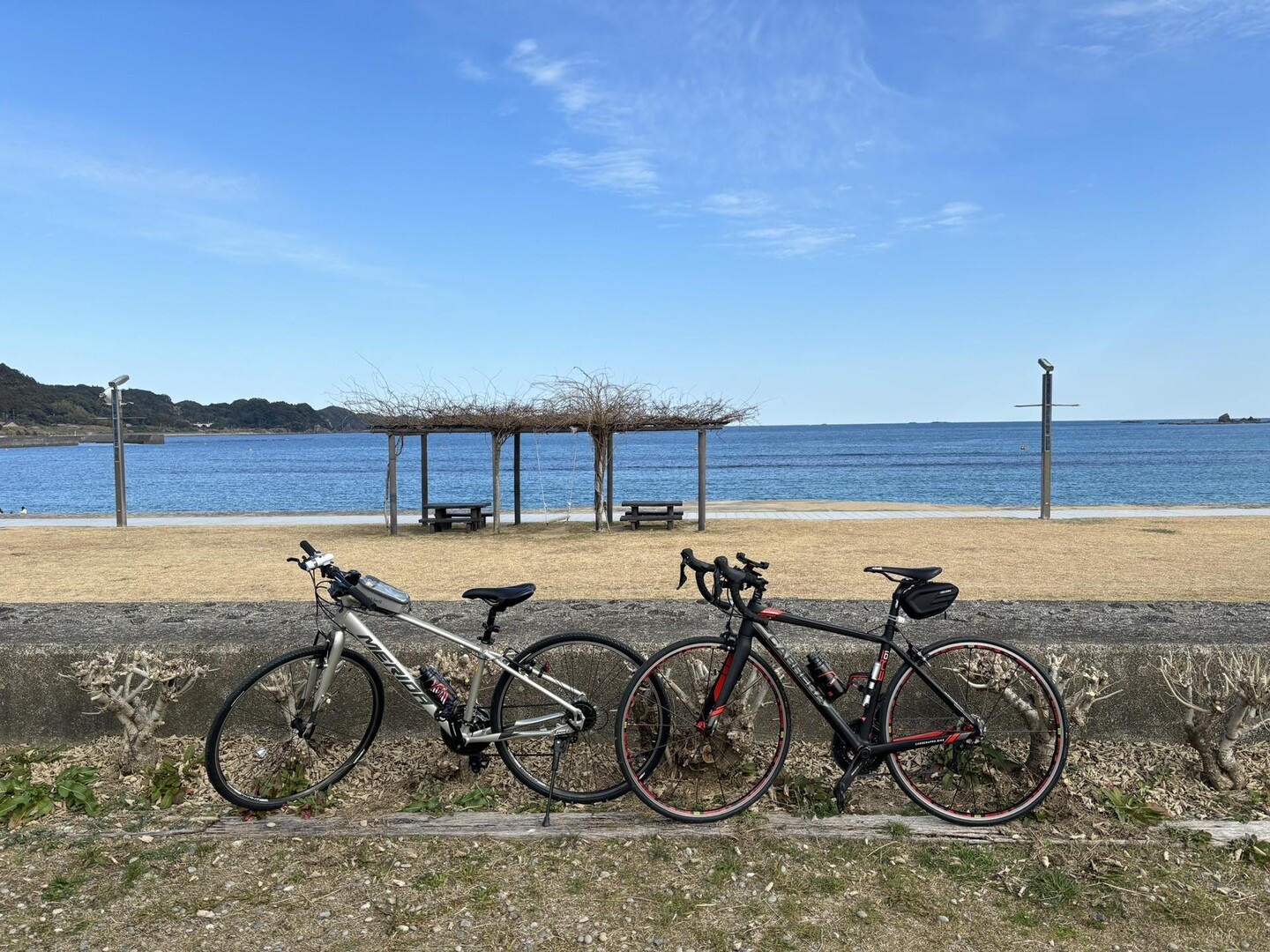 今日は、プチ🚲チャリ漕ぎ🚵‍♀️。... / とくSunさんのモーメント | YAMAP / ヤマップ
