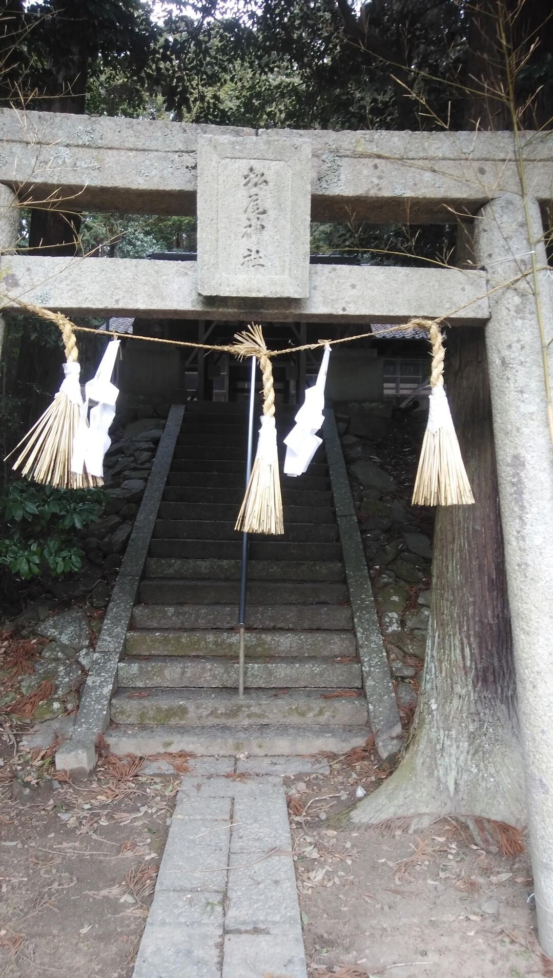 2月2日･久々の金山に4人･Go⤴️ 新... / リキさんさんのモーメント | YAMAP / ヤマップ