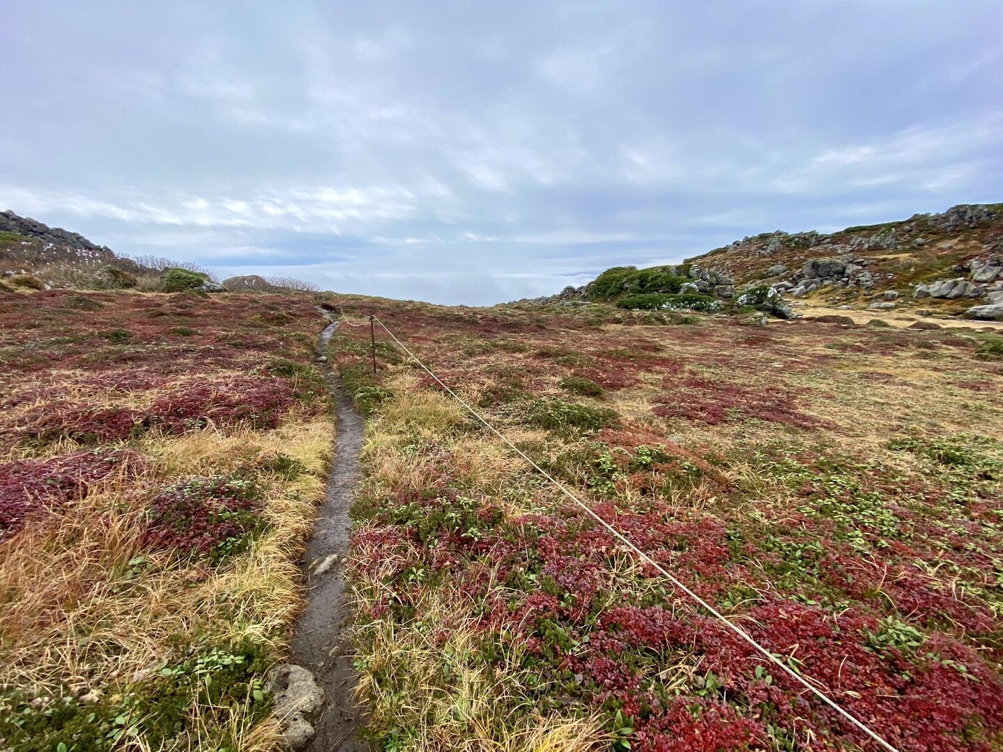 トムラウシ99。ガスガスのガスの上へ / マッサさんのGT3 2の活動データ | YAMAP / ヤマップ