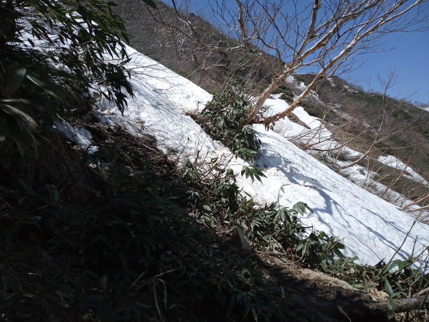 URJさんの投稿したフィールドメモ | YAMAP / ヤマップ