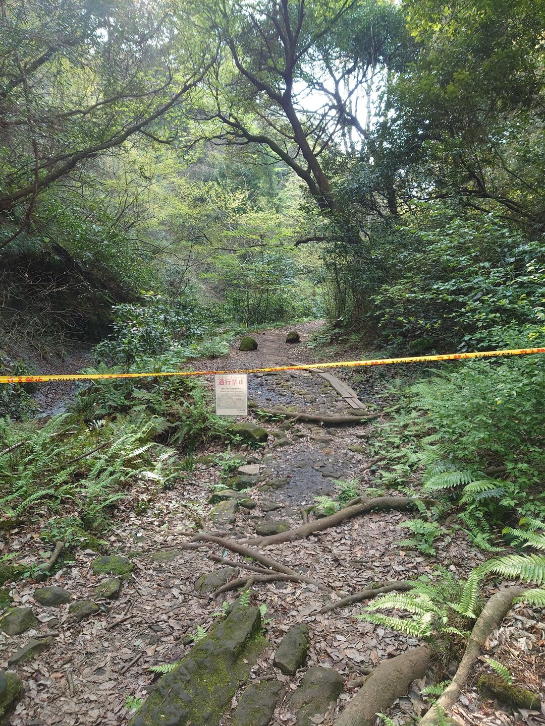 meさんの投稿したフィールドメモ | YAMAP / ヤマップ