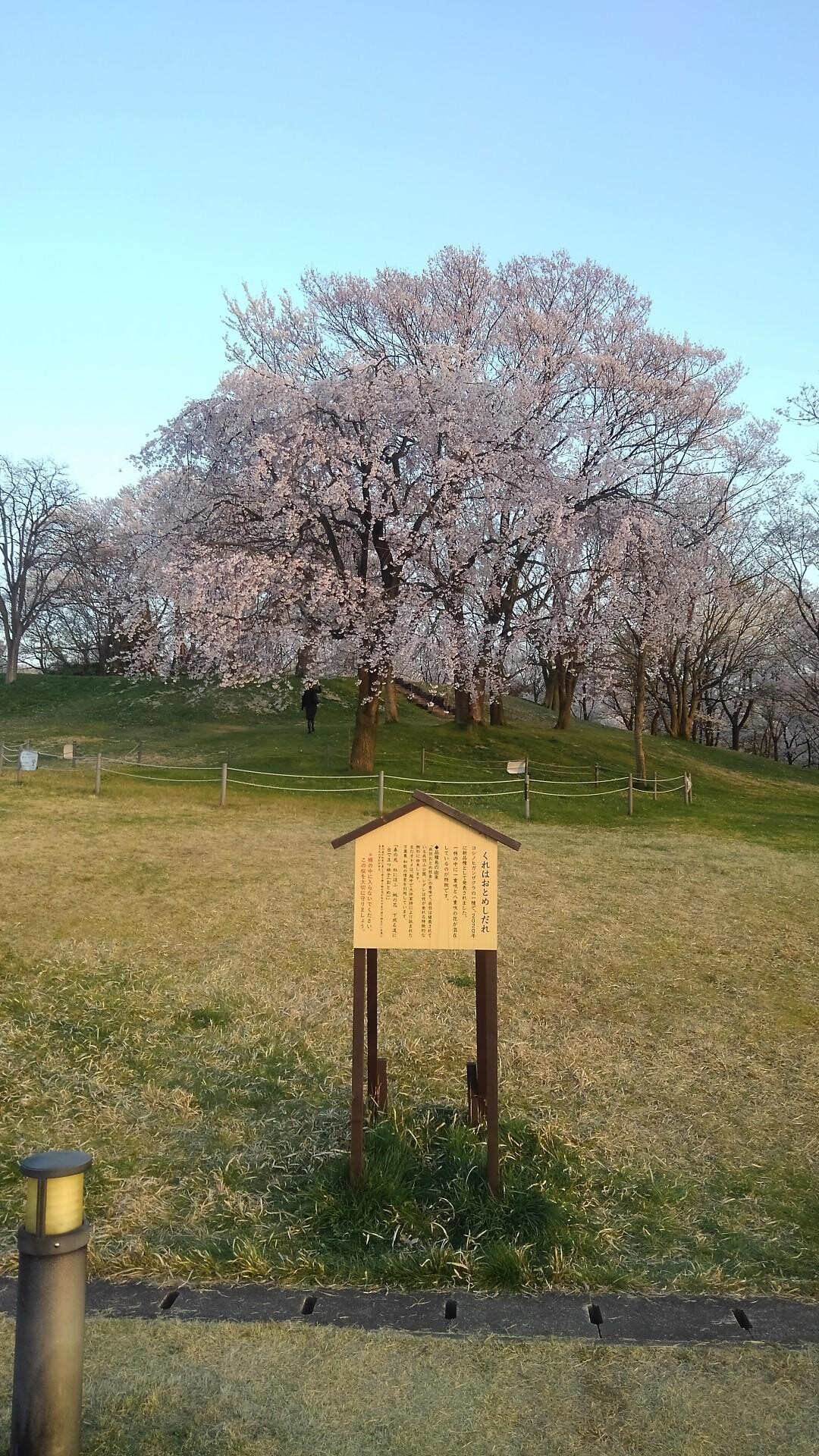 Yoshio_KSKさんイチオシの「くれ... / ヒューマンさんのモーメント | YAMAP / ヤマップ