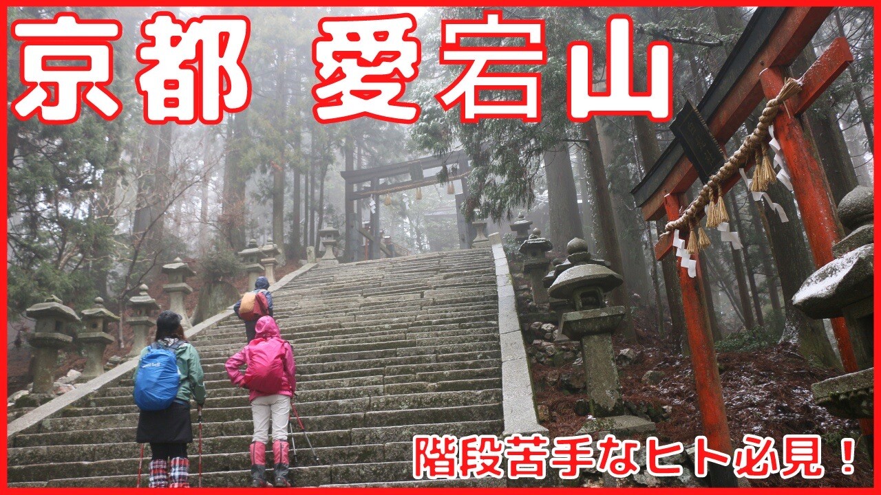 【階段苦手なヒト必見】京都府の愛宕山！登山初心者におすすめルート・アクセスを解説 山ippoさんの愛宕山・三頭山・朝日峯の活動日記