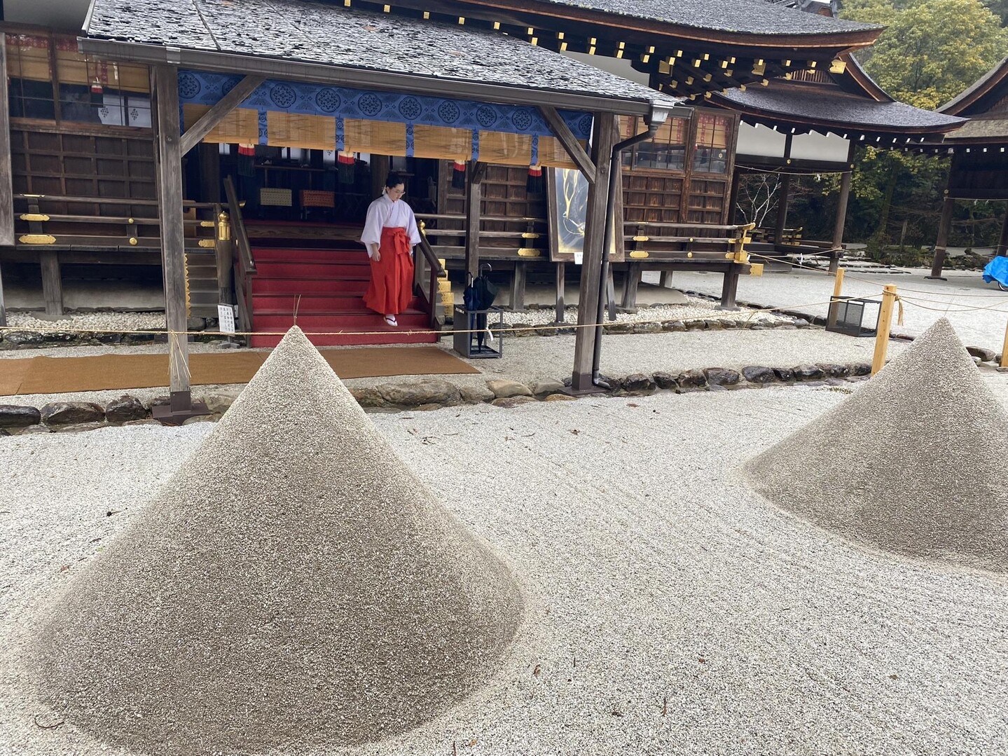 下鴨神社-2024-03-23 / minaさんのウォーキングの活動データ | YAMAP / ヤマップ