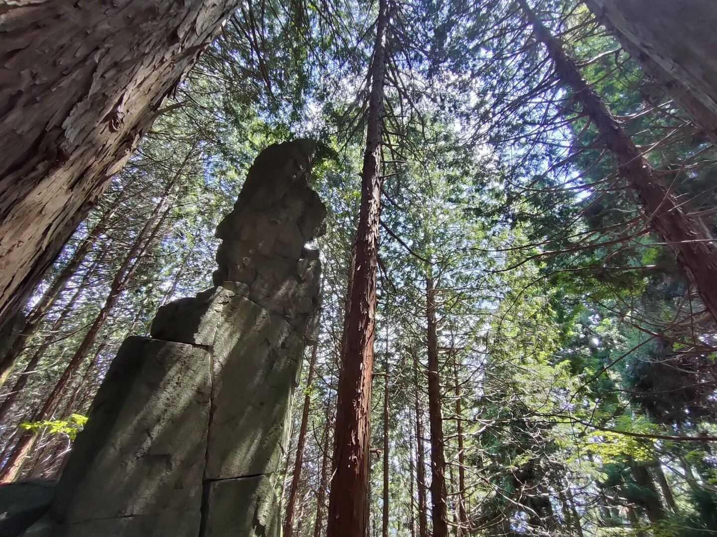 千ヶ峰へGO! / miloさんの千ヶ峰の活動データ | YAMAP / ヤマップ