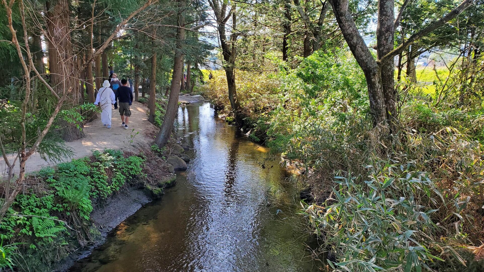 連休は遠野でカッパ釣り🎣 でも、 す... / mozuさんのモーメント | YAMAP / ヤマップ