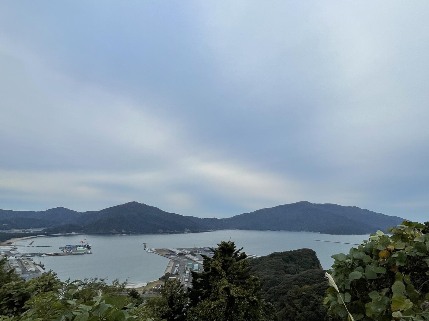 天筒山 / miniさんの天筒山・中池見湿地の活動データ | YAMAP / ヤマップ