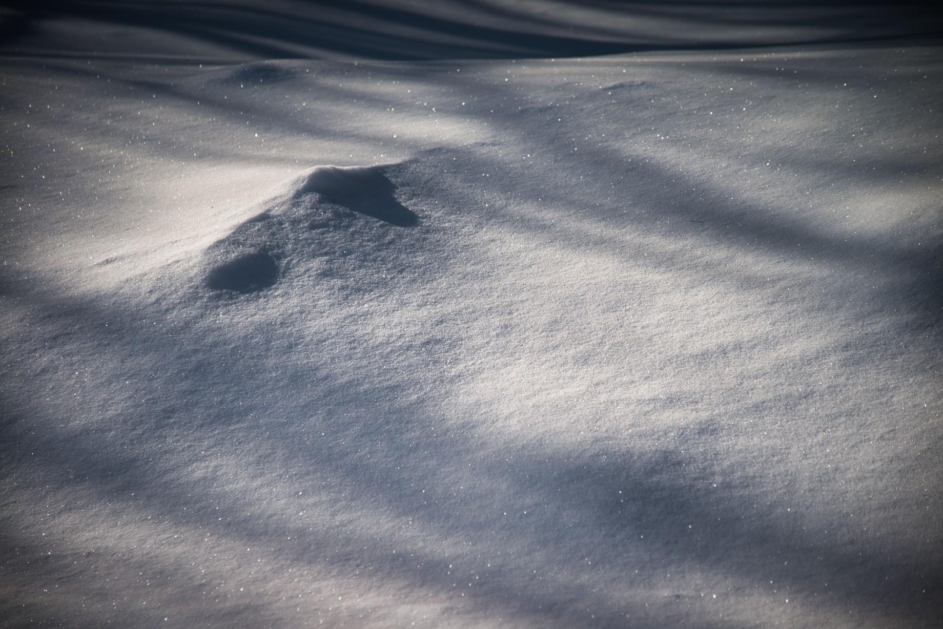 ヤマップは山用のSNSアプリって解釈で合... / ぽんたさんのモーメント | YAMAP / ヤマップ