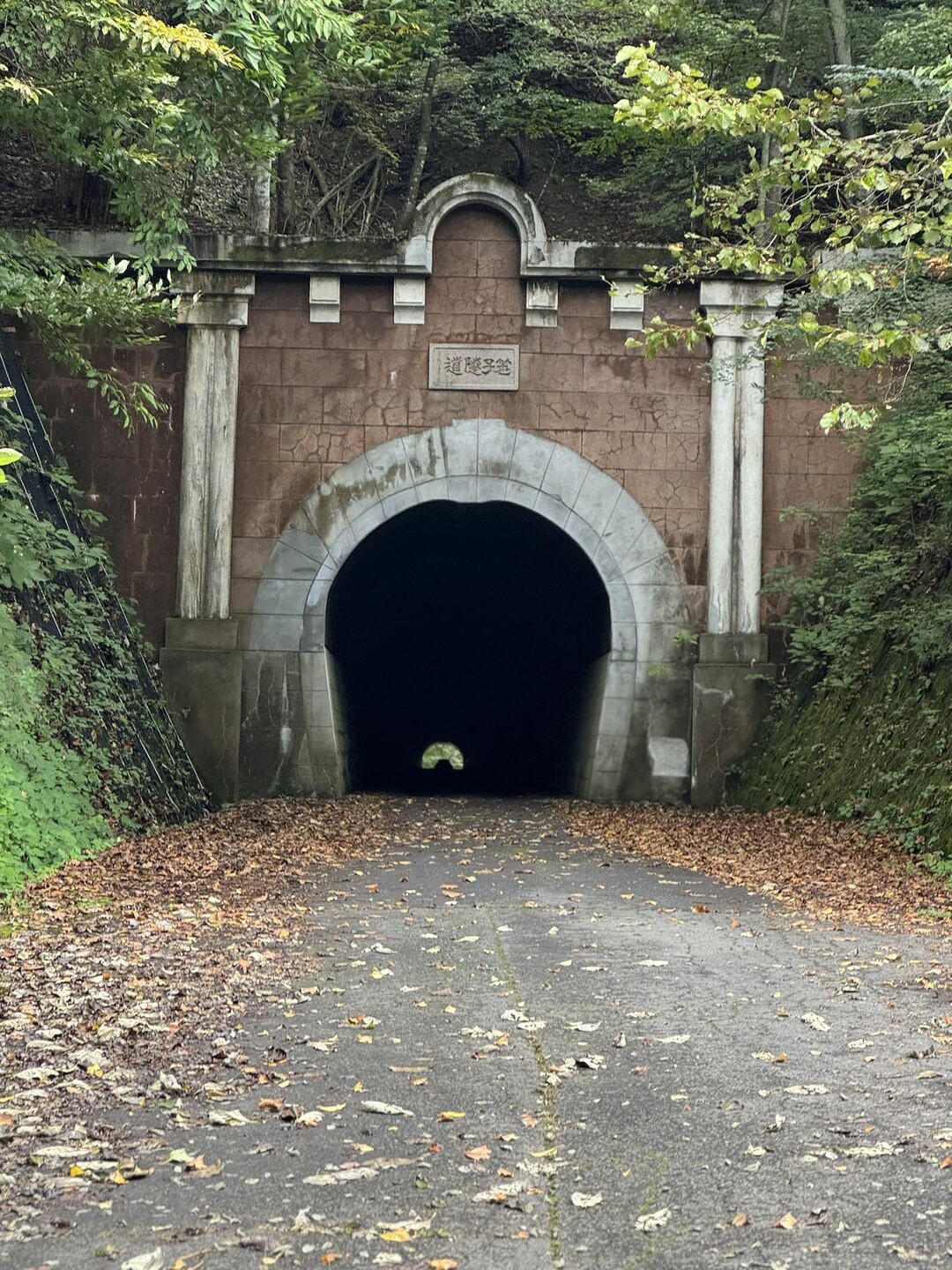 笹子雁ヶ腹摺山 / LEOさんの達沢山・蜂城山・茶臼山の活動データ | YAMAP / ヤマップ