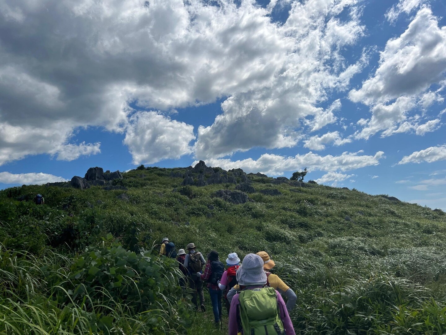 地獄台・冠山・北山 / haruru-yさんの秋吉台の活動データ | YAMAP / ヤマップ