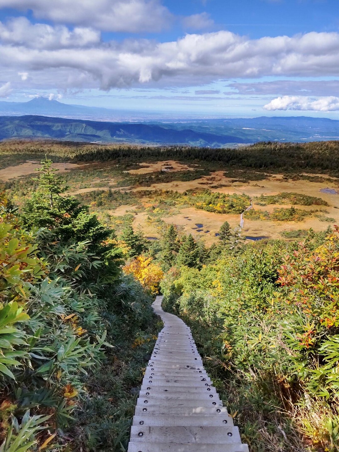 八甲田山（大岳） / joeさんの八甲田山・高田大岳・雛岳の活動データ | YAMAP / ヤマップ