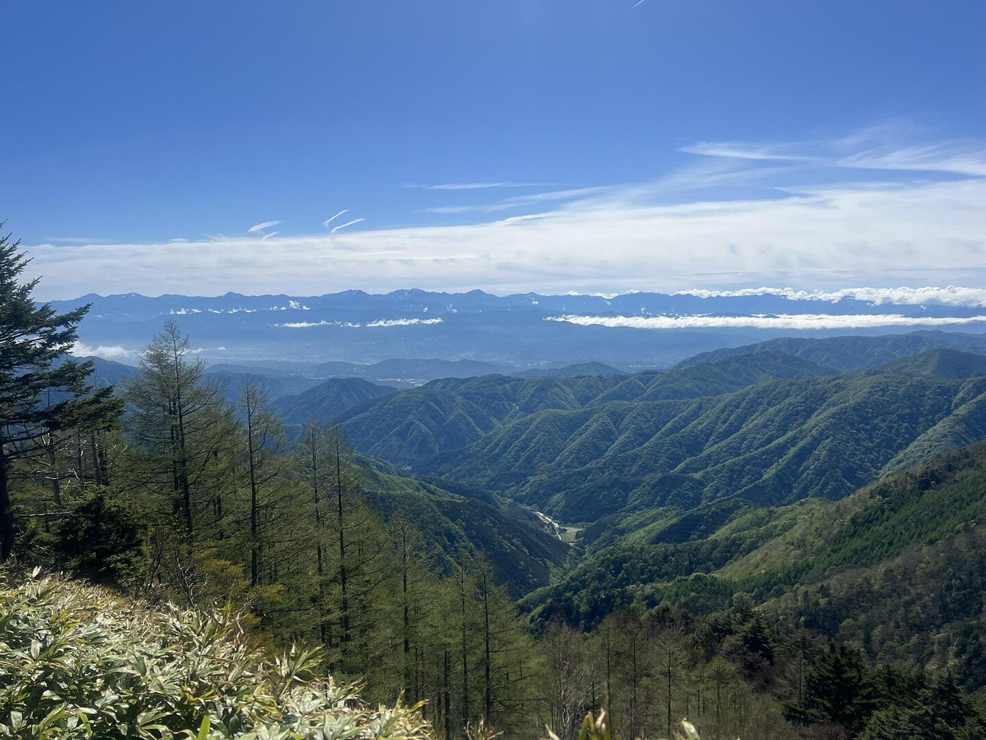 恵那山 21/100 / Mr.Pさんの恵那山・大判山・神坂山の活動データ | YAMAP / ヤマップ