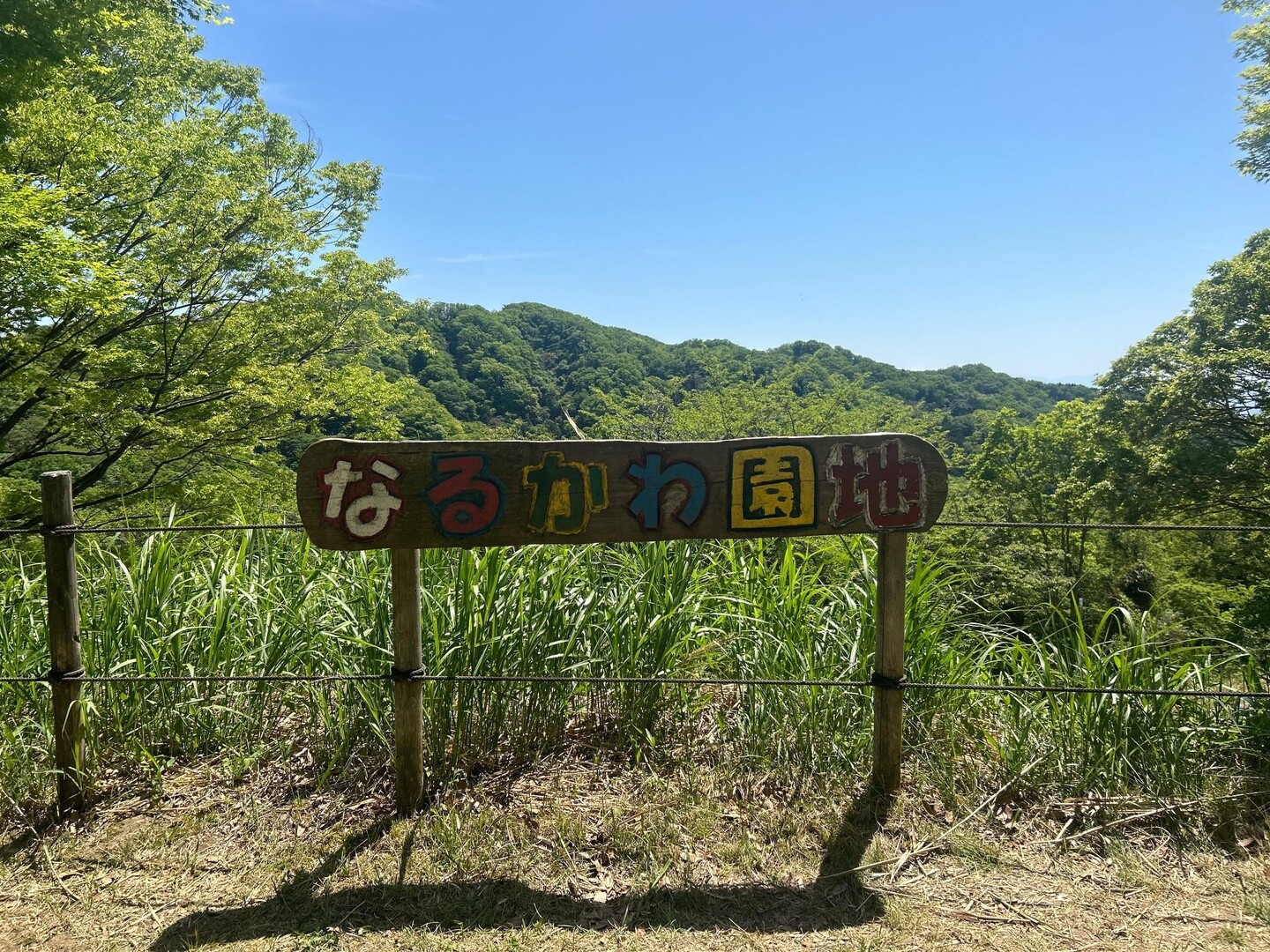 生駒山・🌺つつじロール🌸 / Madelineさんの生駒山・神津嶽・大原山の活動データ | YAMAP / ヤマップ