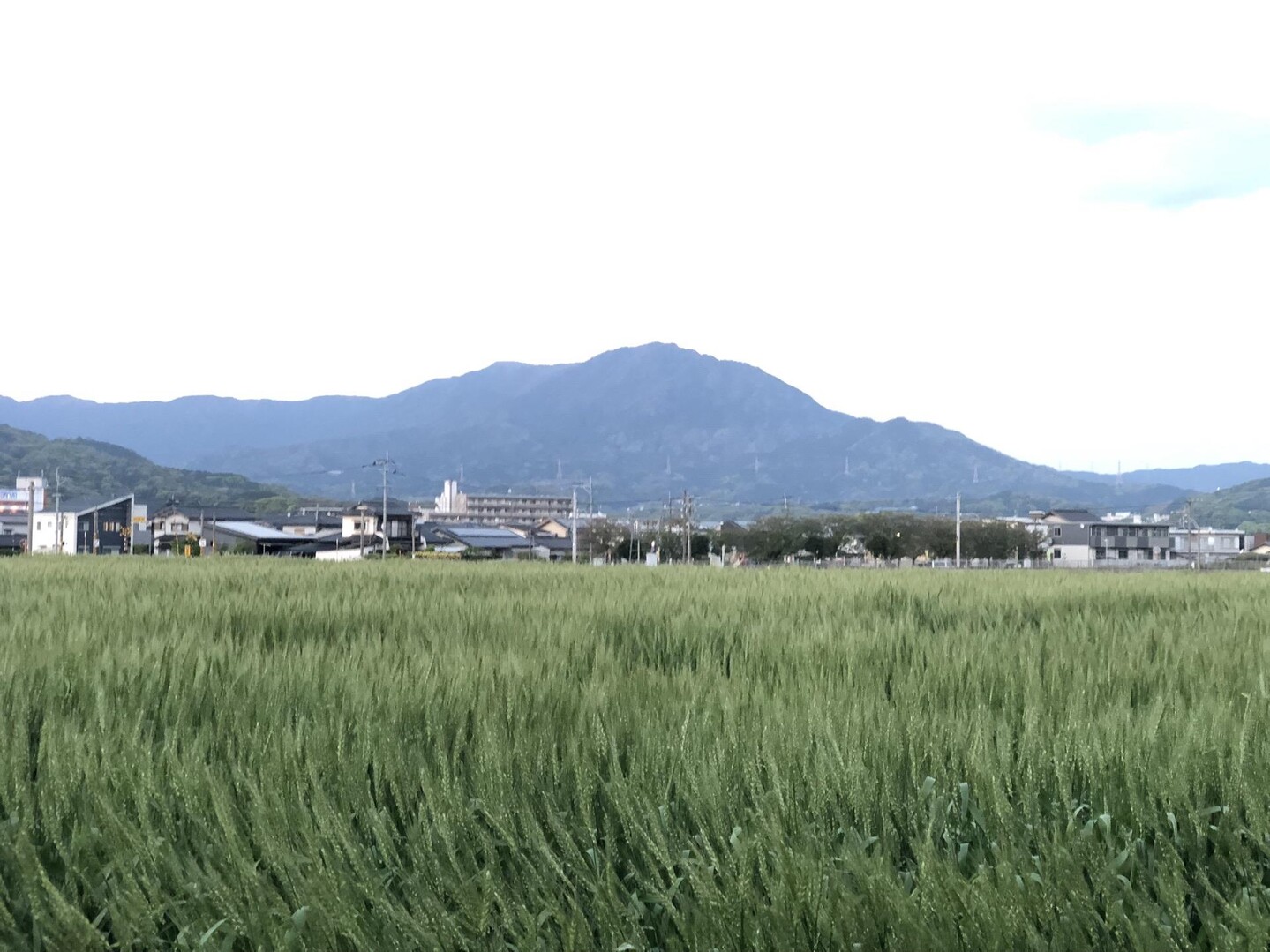 今日のながめる山2023.4.11 PM... / ちーちゃんさんのモーメント | YAMAP / ヤマップ