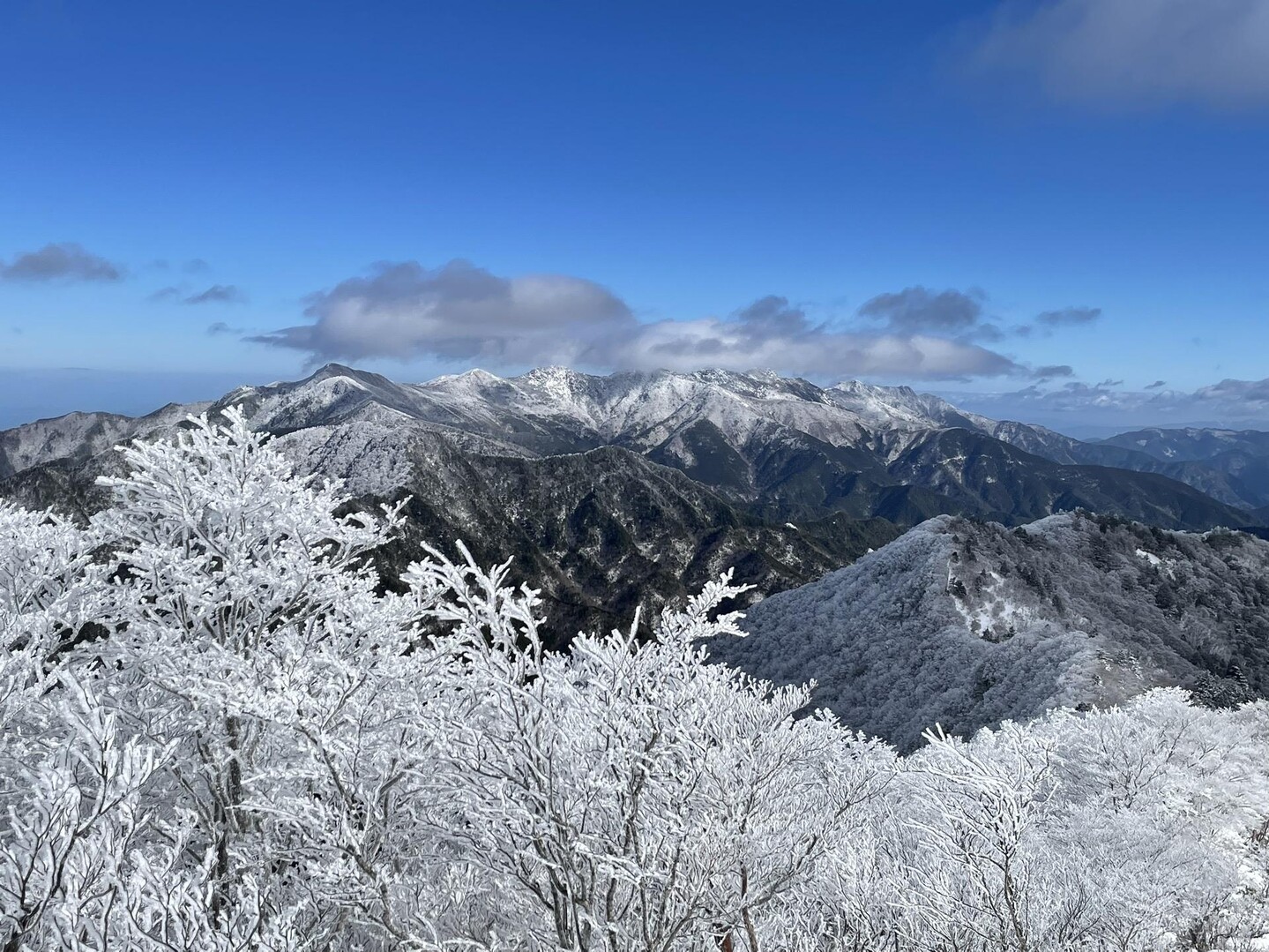 ホワイトクリスマス🎄獅子舞 / MK2さんの笹ヶ峰・寒風山・平家平の活動日記 | YAMAP / ヤマップ