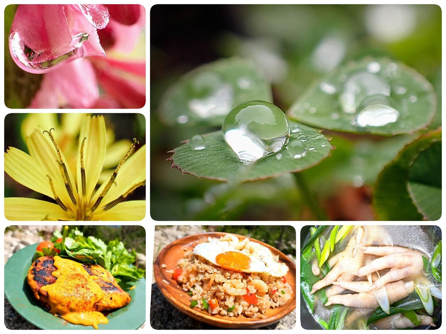 Welcome Rain ☔～御在所岳麓でまったりランチ🍴 / Che 🇨🇺さんの御在所岳（御在所山）・雨乞岳の活動データ | YAMAP / ヤマップ