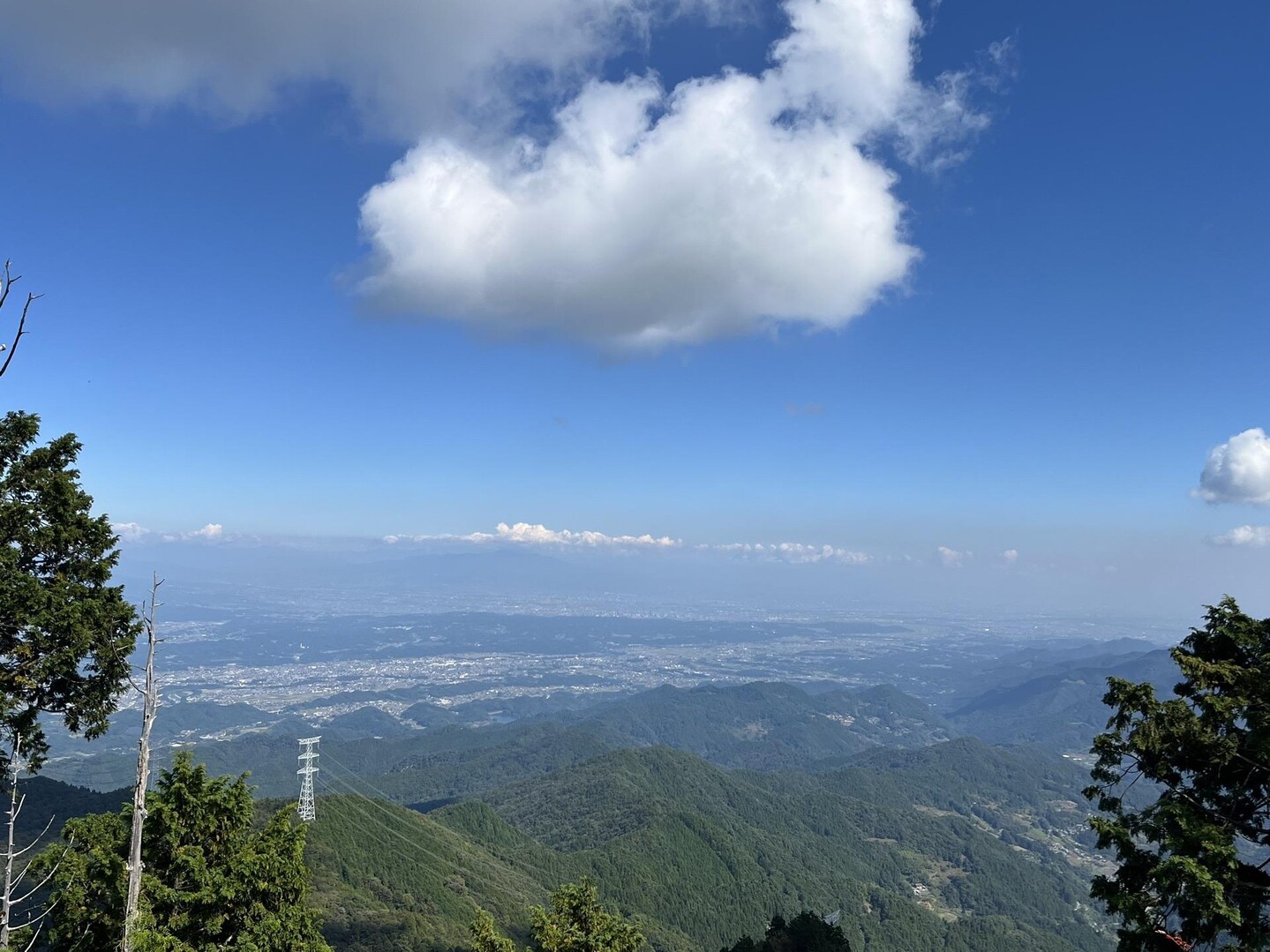 下仁田 稲含山 / まんまるさんさんのウォーキングの活動データ | YAMAP / ヤマップ