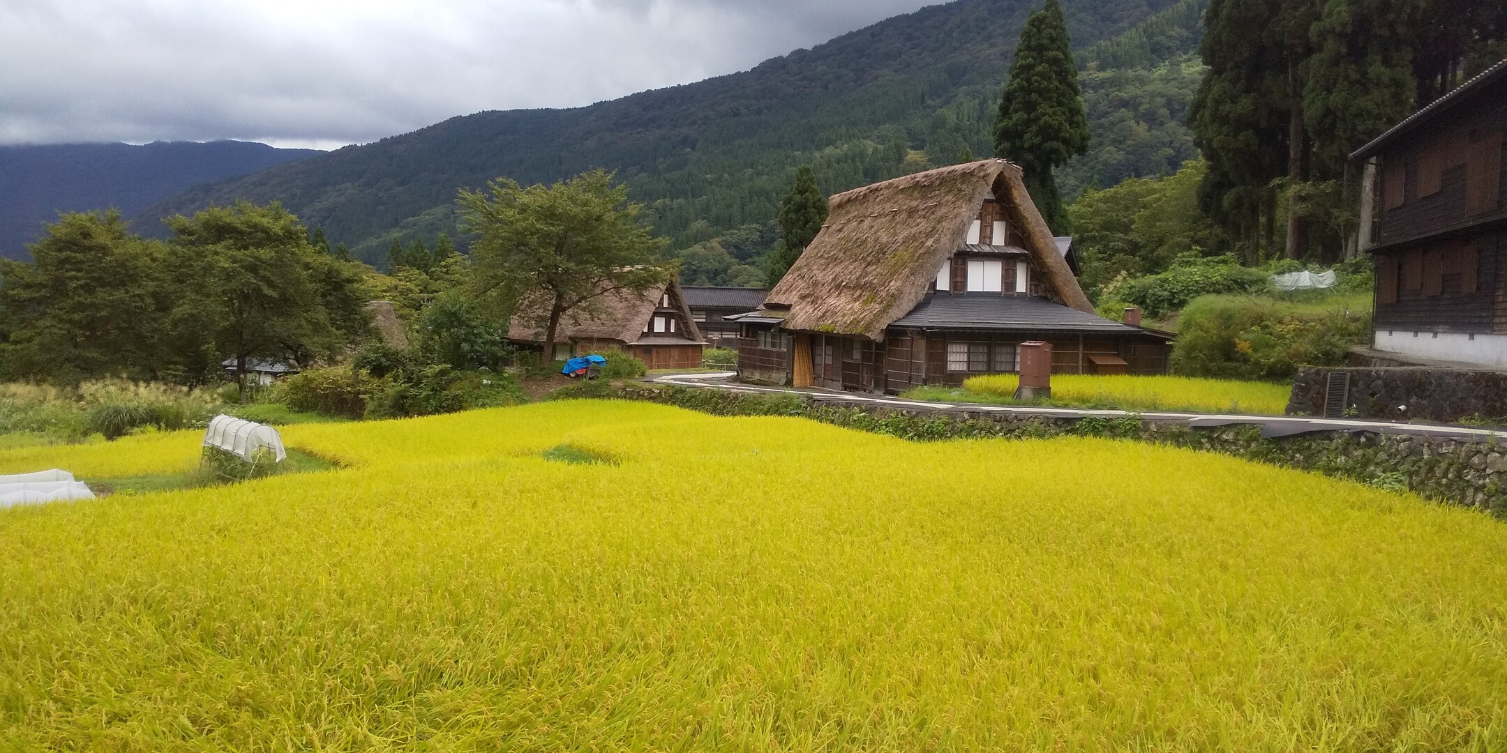 おまけの天王山と五箇山ラン / tottinさんの高清水山・高落場山・八乙女山の活動データ | YAMAP / ヤマップ