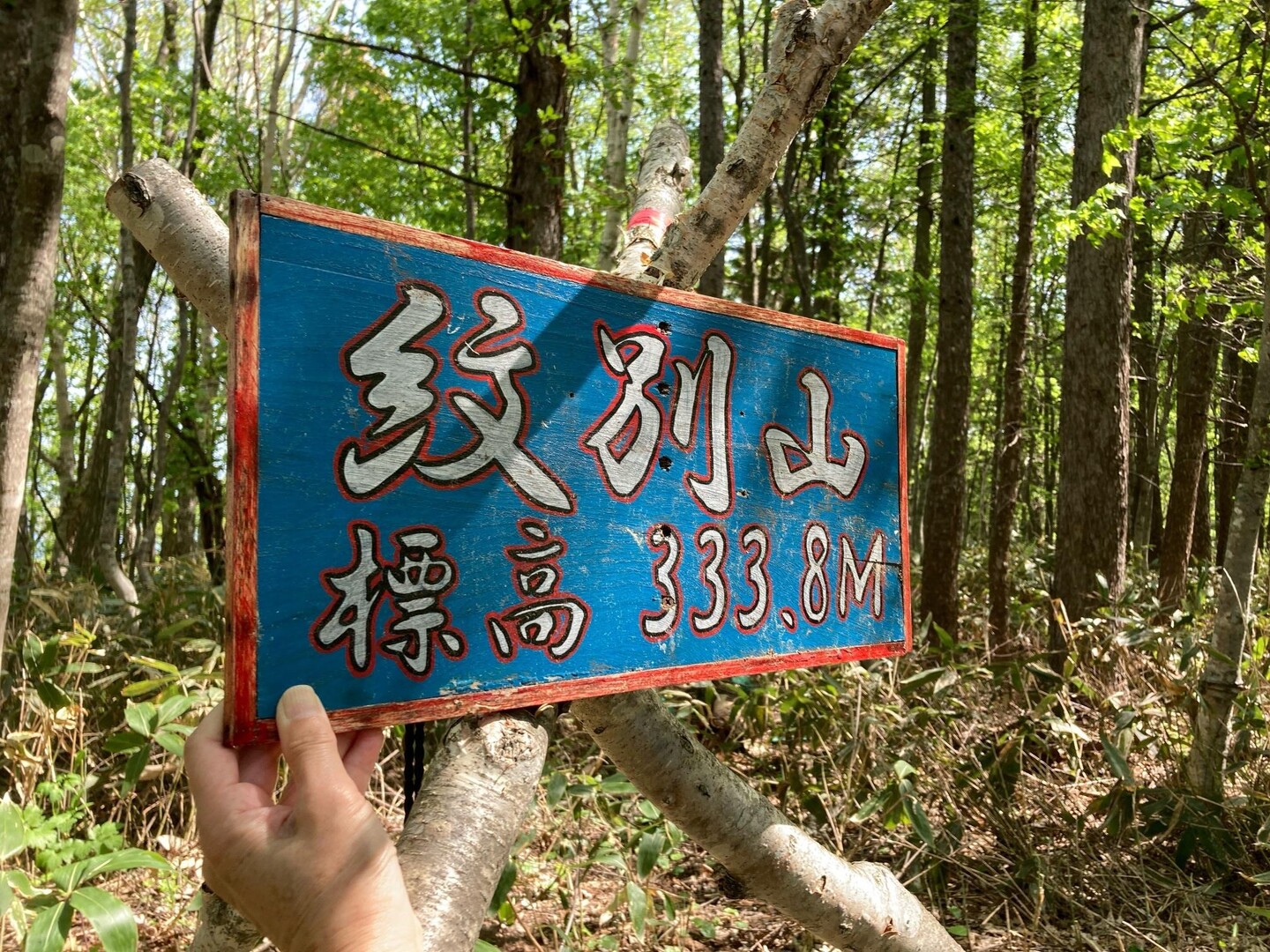 紋別山(大山) / ogamiさんの紋別山（大山）の活動データ | YAMAP / ヤマップ