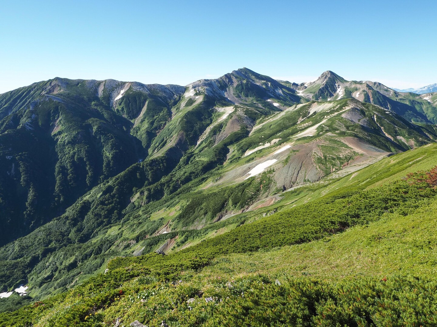 朝日岳・雪倉岳🌱 - 20240802/03 / Tadaboxさんの雪倉岳・朝日岳・風吹岳の活動データ | YAMAP / ヤマップ